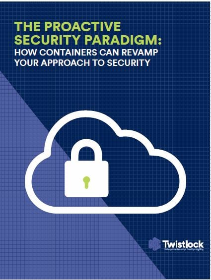 Proactive Security Paradigm